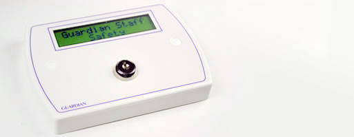 DISP1 Guardian Standard LCD Alphanumeric Display - Saturn Sales ...