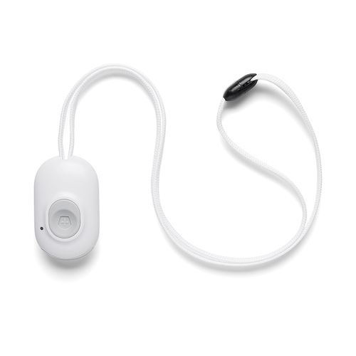 Intercall One Series Infrared Pendant - Saturn Sales & Services Ltd